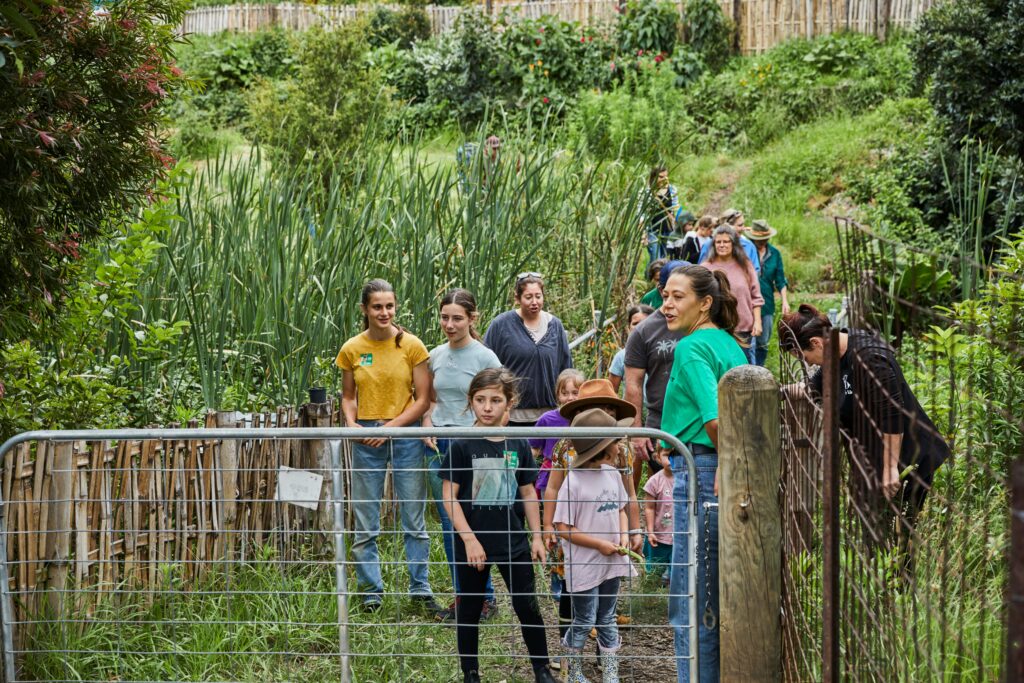 Green Connect Farm - Destination Wollongong