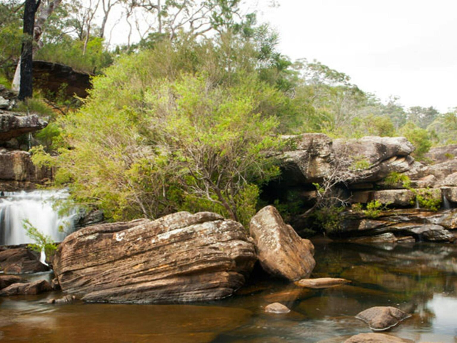 Dharawal National Park - Destination Wollongong